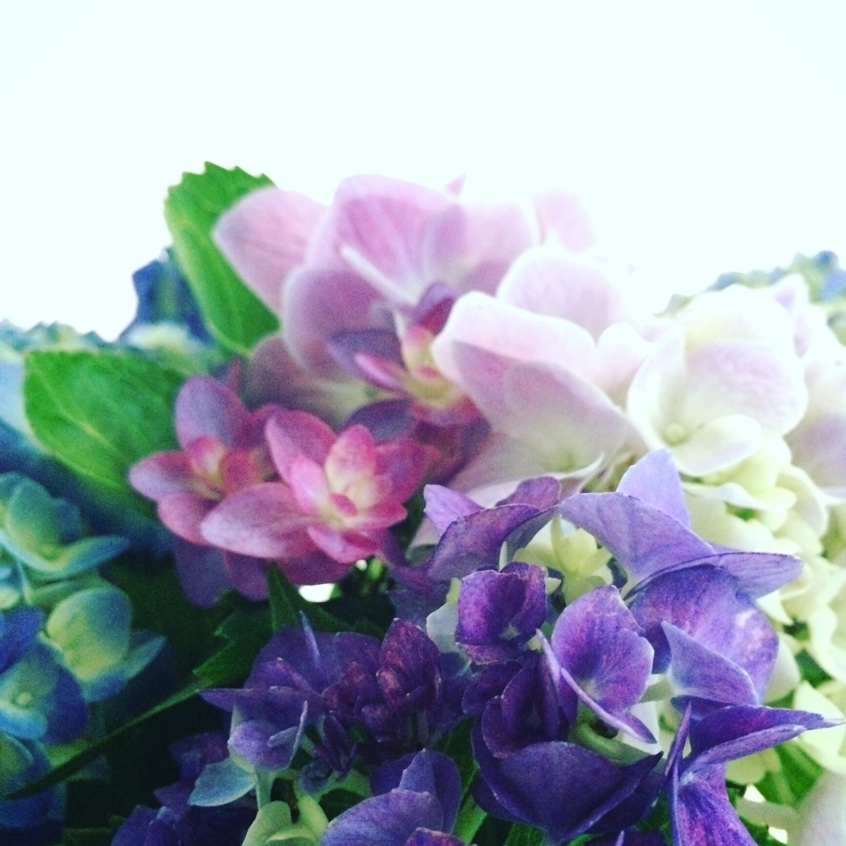 pumira のROOM - 欲しい! に出会える。