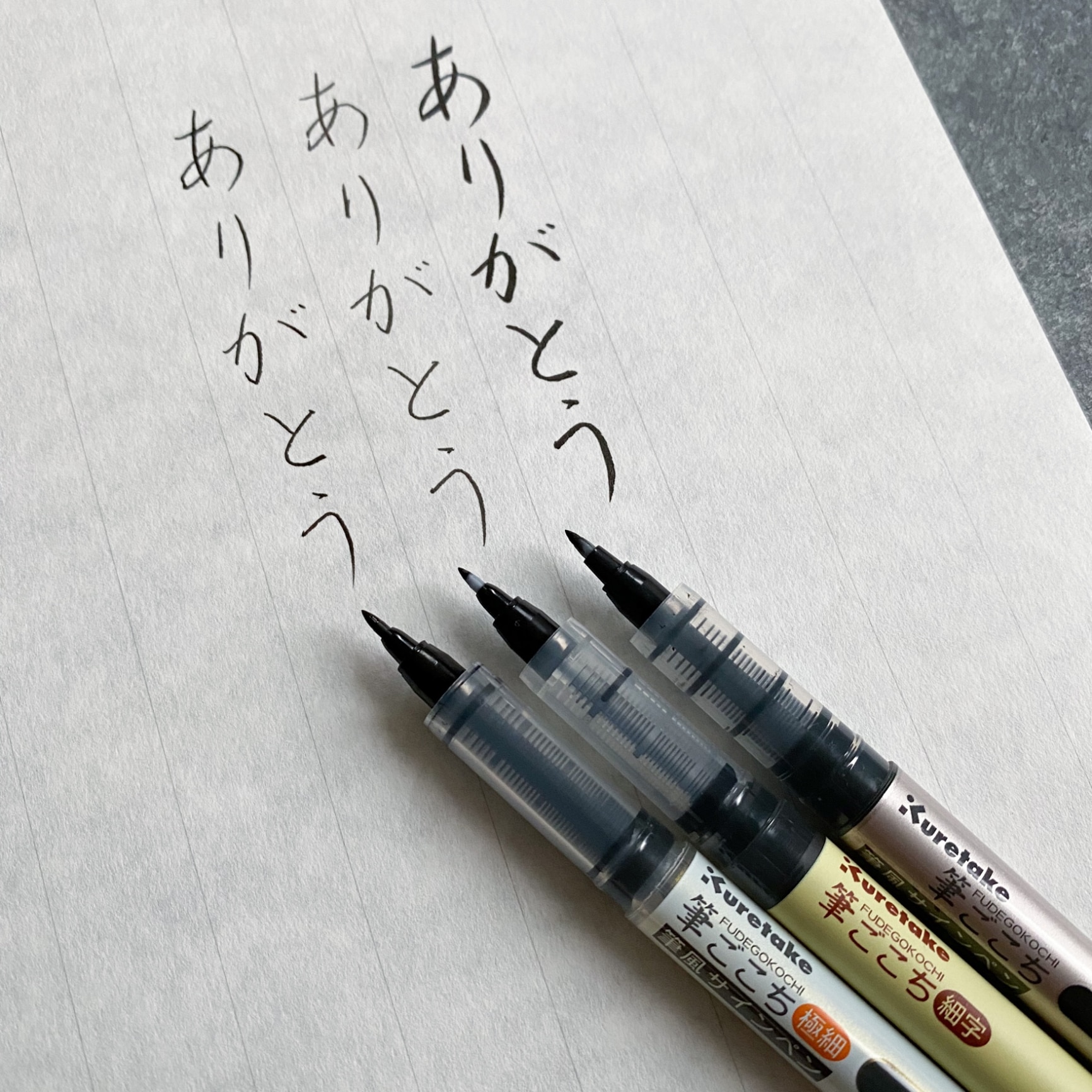 呉竹 KURETAKE 筆風サインペン 筆ごこち パック商品 直液式 水性染料インク 極細/黒セリース/うす墨セリース/ブラック LS1-10S/LS4-10S/LS5-10S