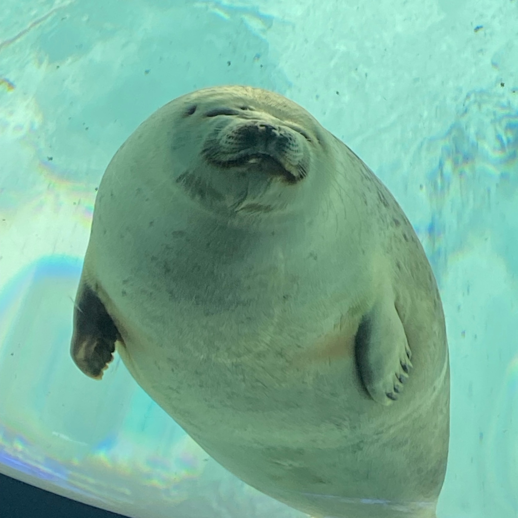 ktkt のROOM - 欲しい! に出会える。