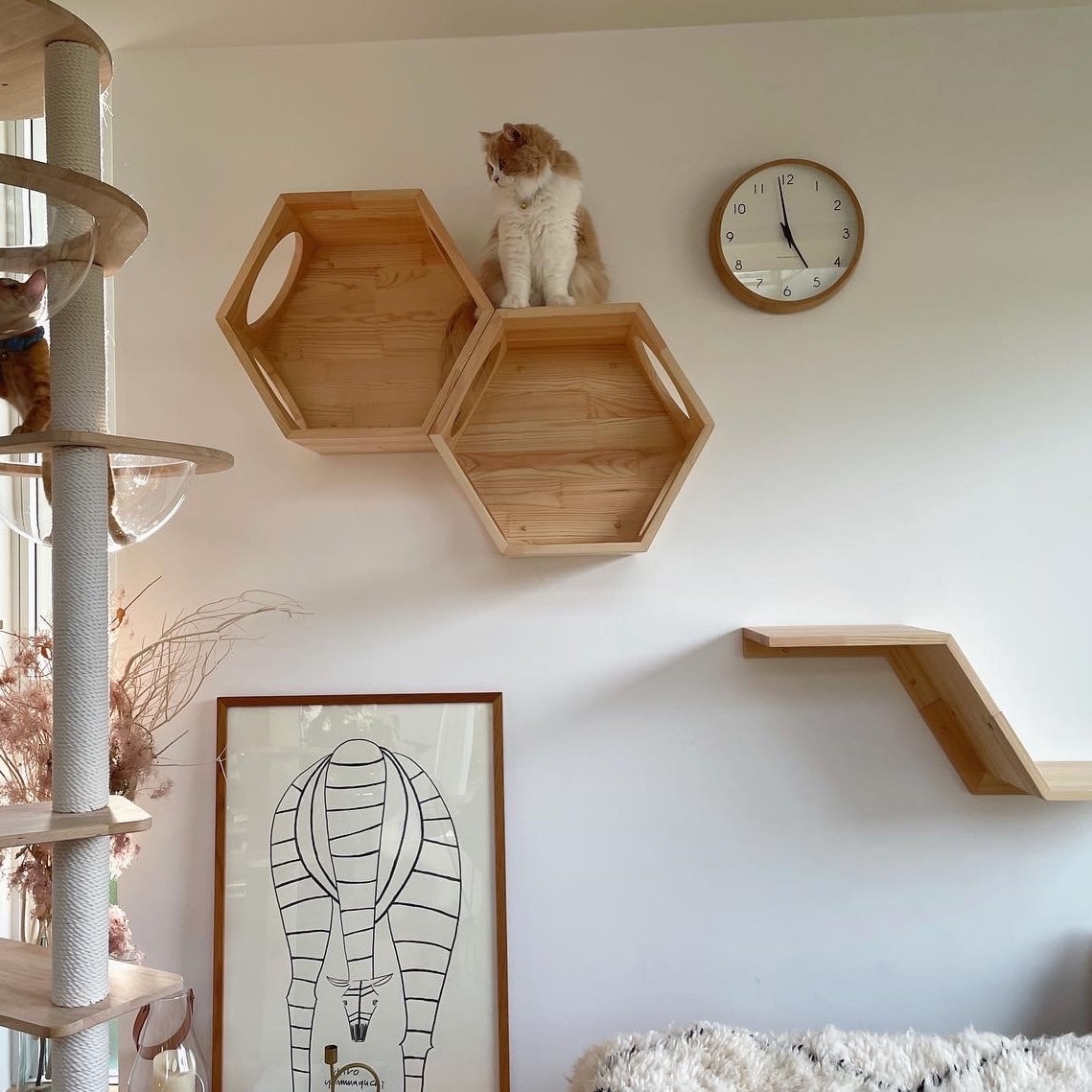 【レビュー特典あり】 キャットステップ MYZOO マイズー Busy cat 六角ハウス Wood ウッド cp259 【メッセージカード対応】 猫 キャットステップ キャットウォーク 六角 ...