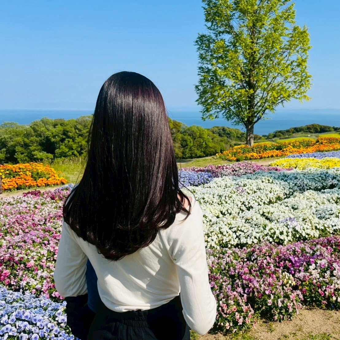 MiU's RooM のROOM - 欲しい! に出会える。