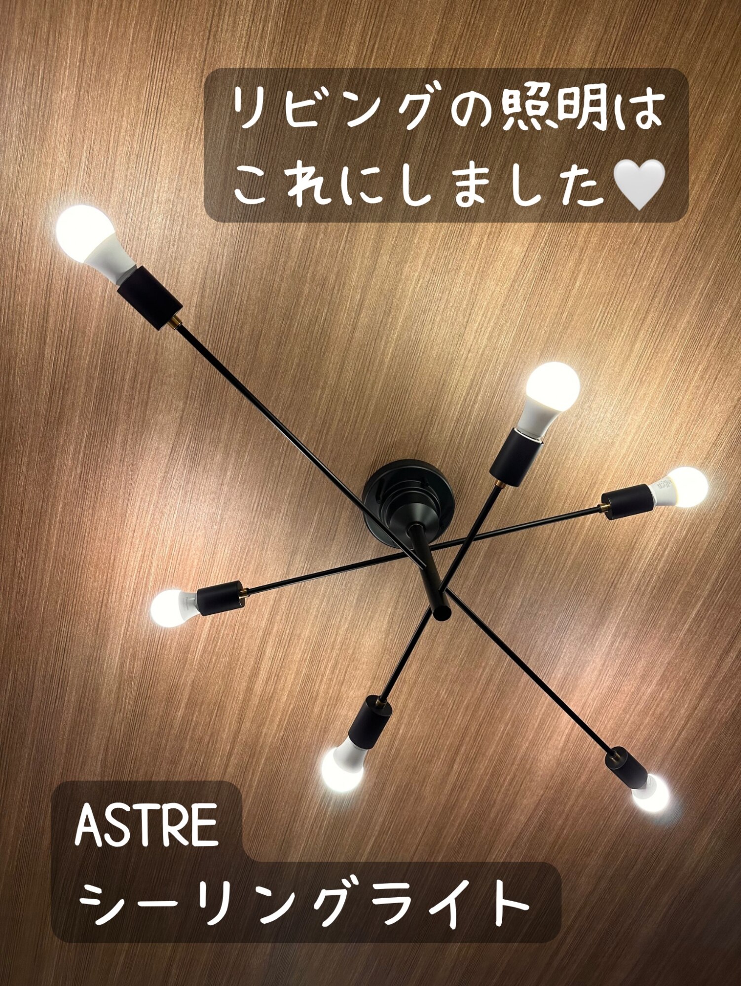 照明 シーリングライト ASTRE アストル リビング用 ダイニング用 寝室 店舗 天井照明 おしゃれ ブラック ゴールド アイアン 点灯切替 LED対応 ヨーロピアン インダストリアル 西 ...