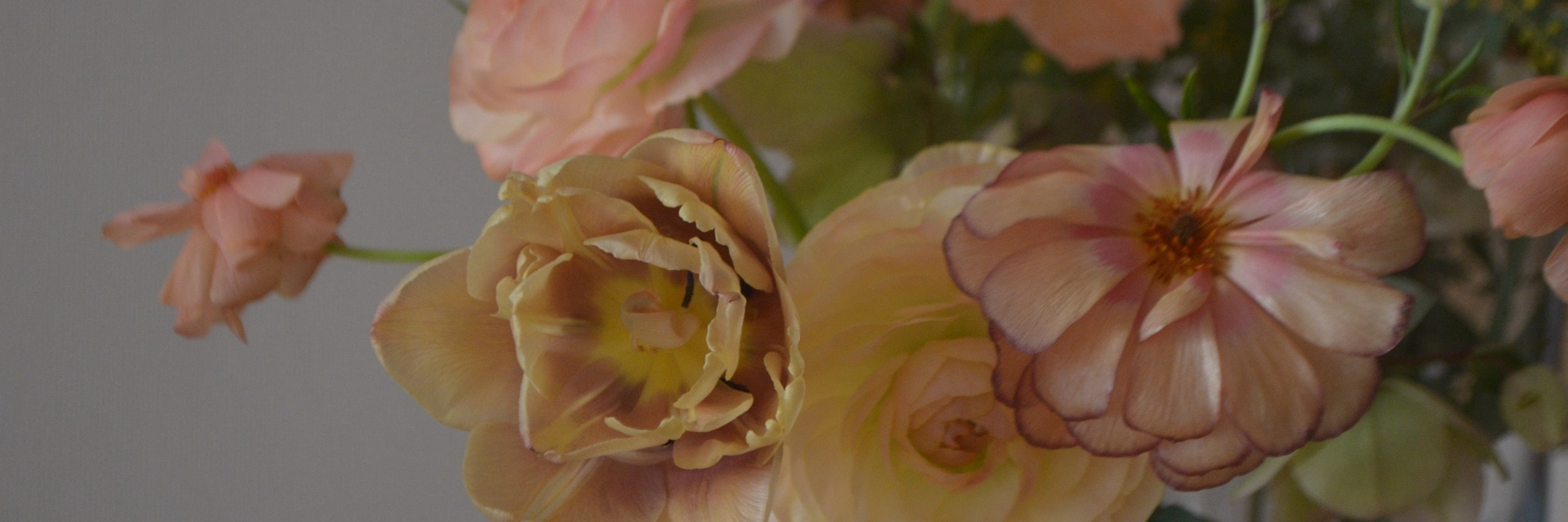 risa のROOM - 欲しい! に出会える。