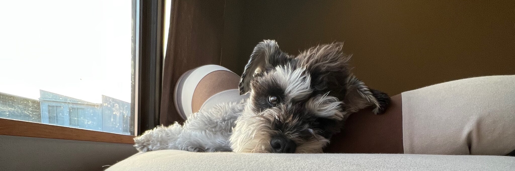 moco のROOM - 欲しい! に出会える。