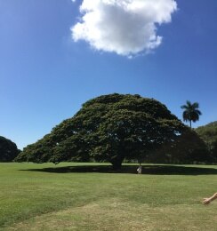 TUTUTU のROOM - 欲しい! に出会える。