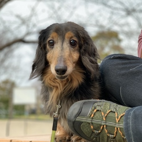 asu_cash のROOM - 欲しい! に出会える。