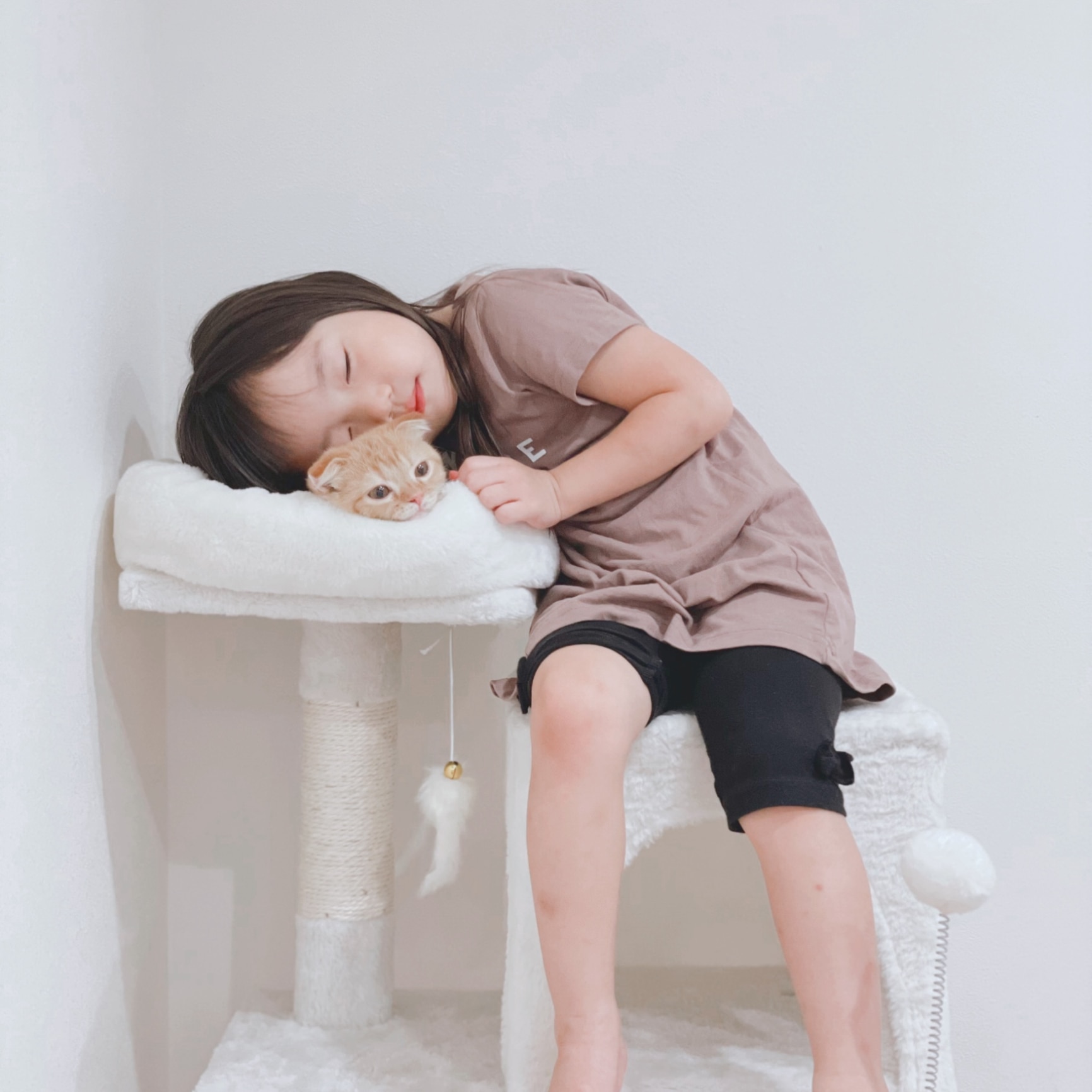 Yuka のROOM - 欲しい! に出会える。