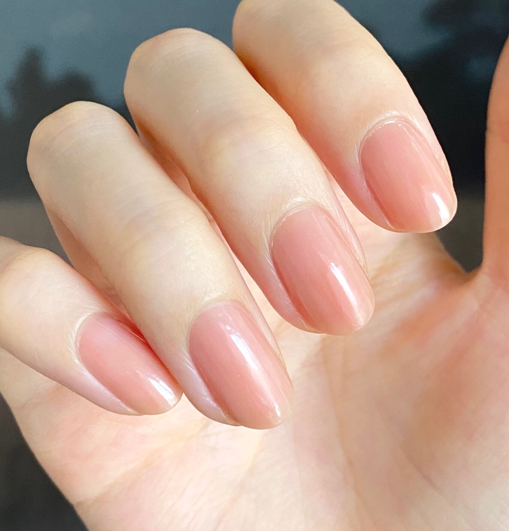 「ポイント10倍 2月5日〜6日」 キャンメイク ファンデーションカラーズ 06 8ml マニキュア アットコスメ