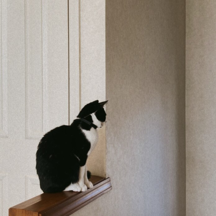 amamo のROOM - 欲しい! に出会える。