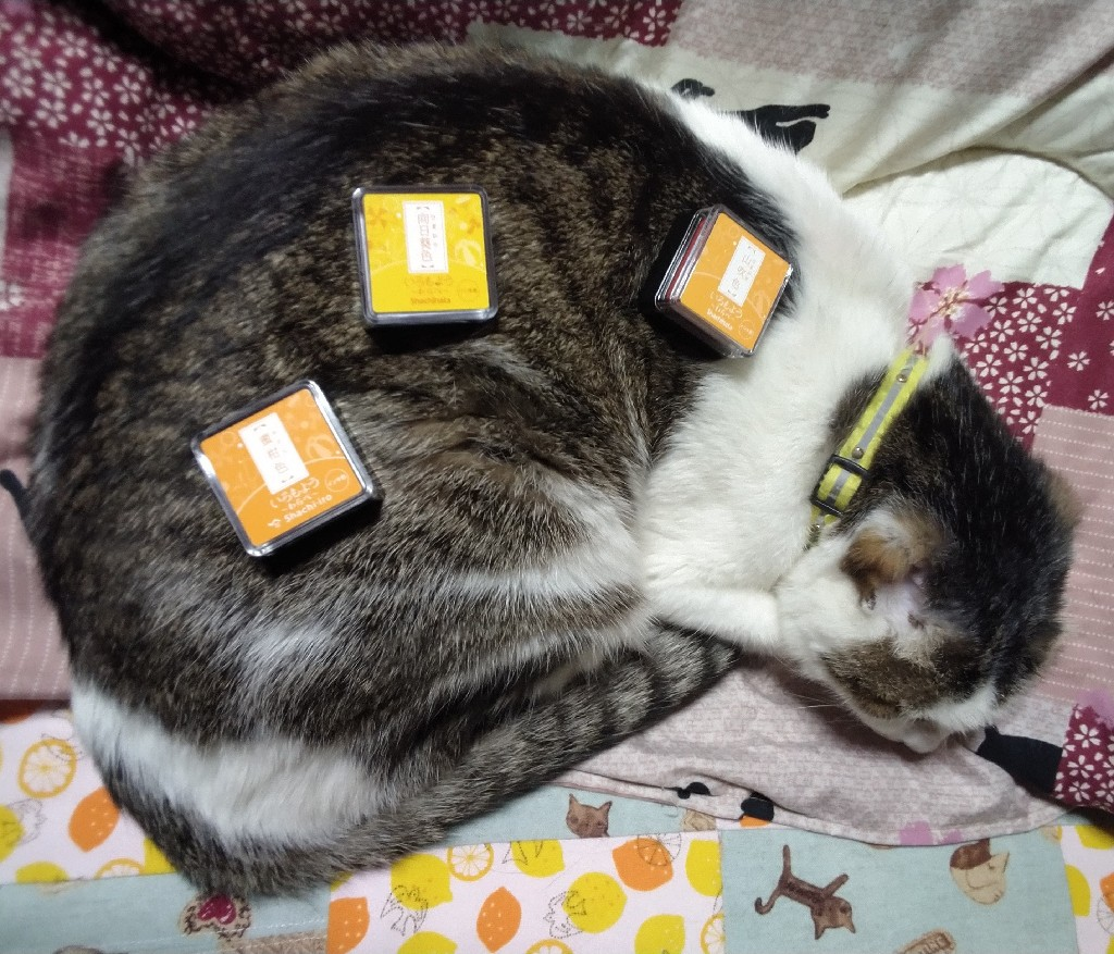 シヤチハタ｜Shachihata スタンプ台 いろもよう わらべ 蜜柑色 HAC-S1-WY