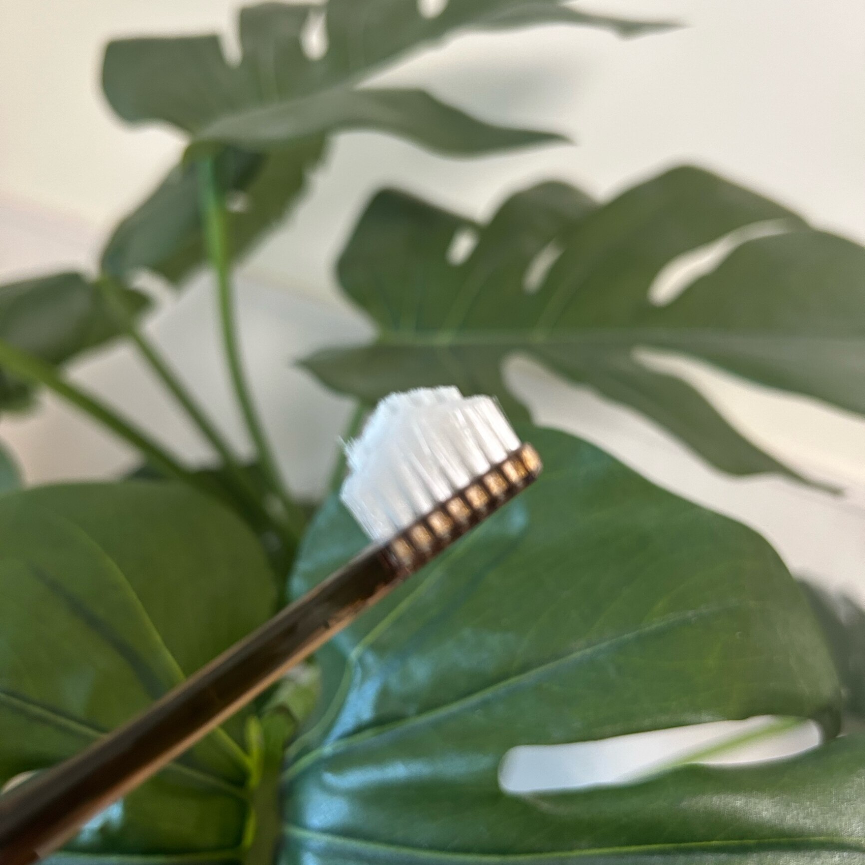 （公式）【送料無料】奇跡の歯ブラシ クリアブラウン 3本セット 日本製 なぞるだけで汚れが落ちる テーパー加工 どんな隙間にもぴったりフィット 歯間 オーラルケア 虫歯 むし歯 歯周病 歯肉炎 ...