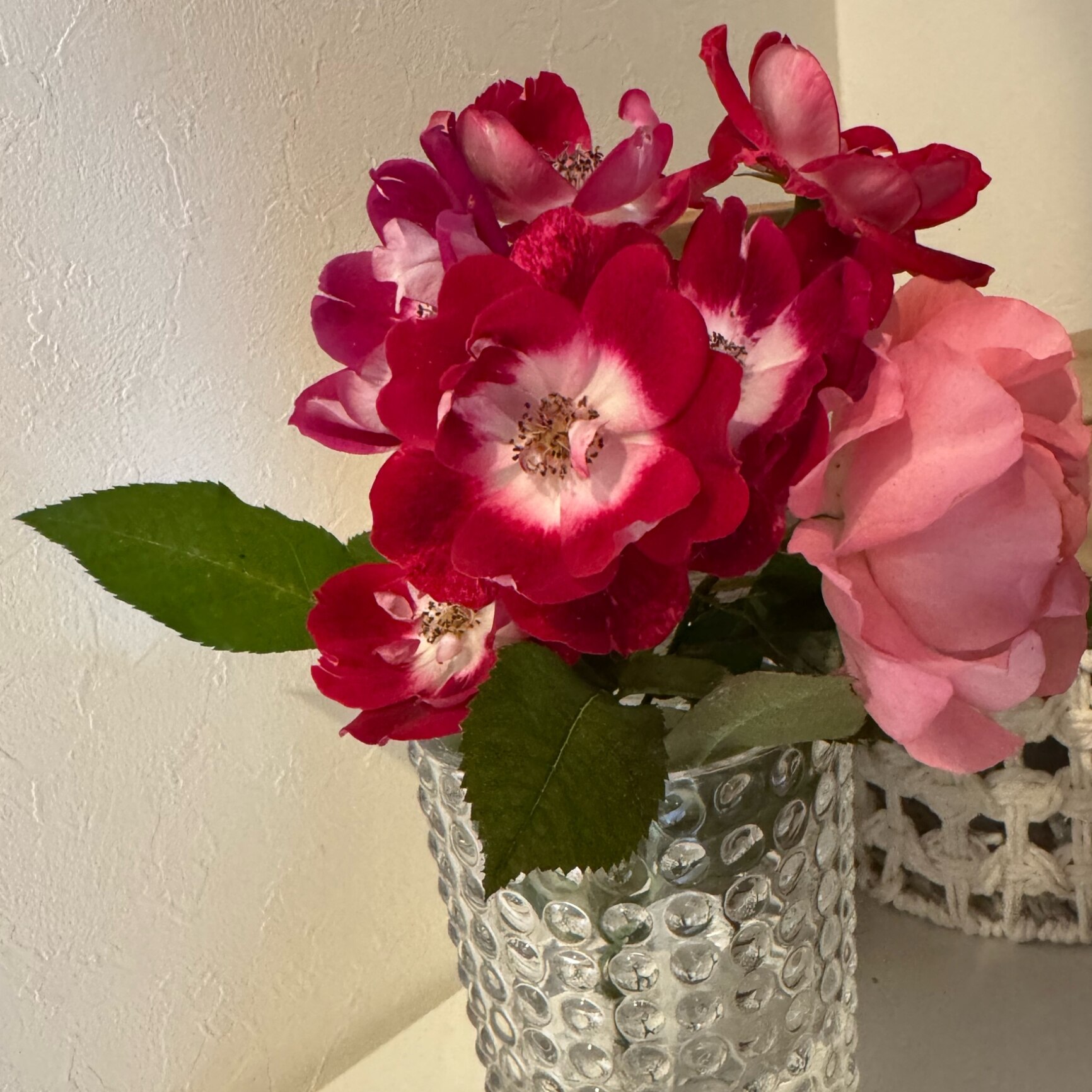 poooi.n のROOM - 欲しい! に出会える。