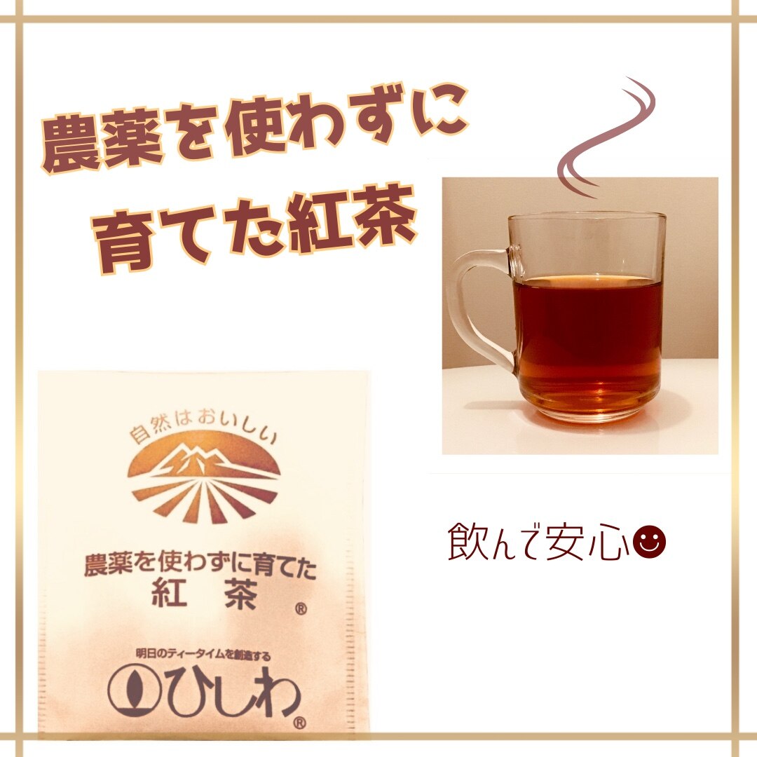【大感謝祭限定!最大2000円OFFクーポン配布中!】菱和園 ひしわ 農薬を使わず育てた紅茶ティーバッグ 110g（2.2g×50袋）× 2袋 ／ まとめ買い