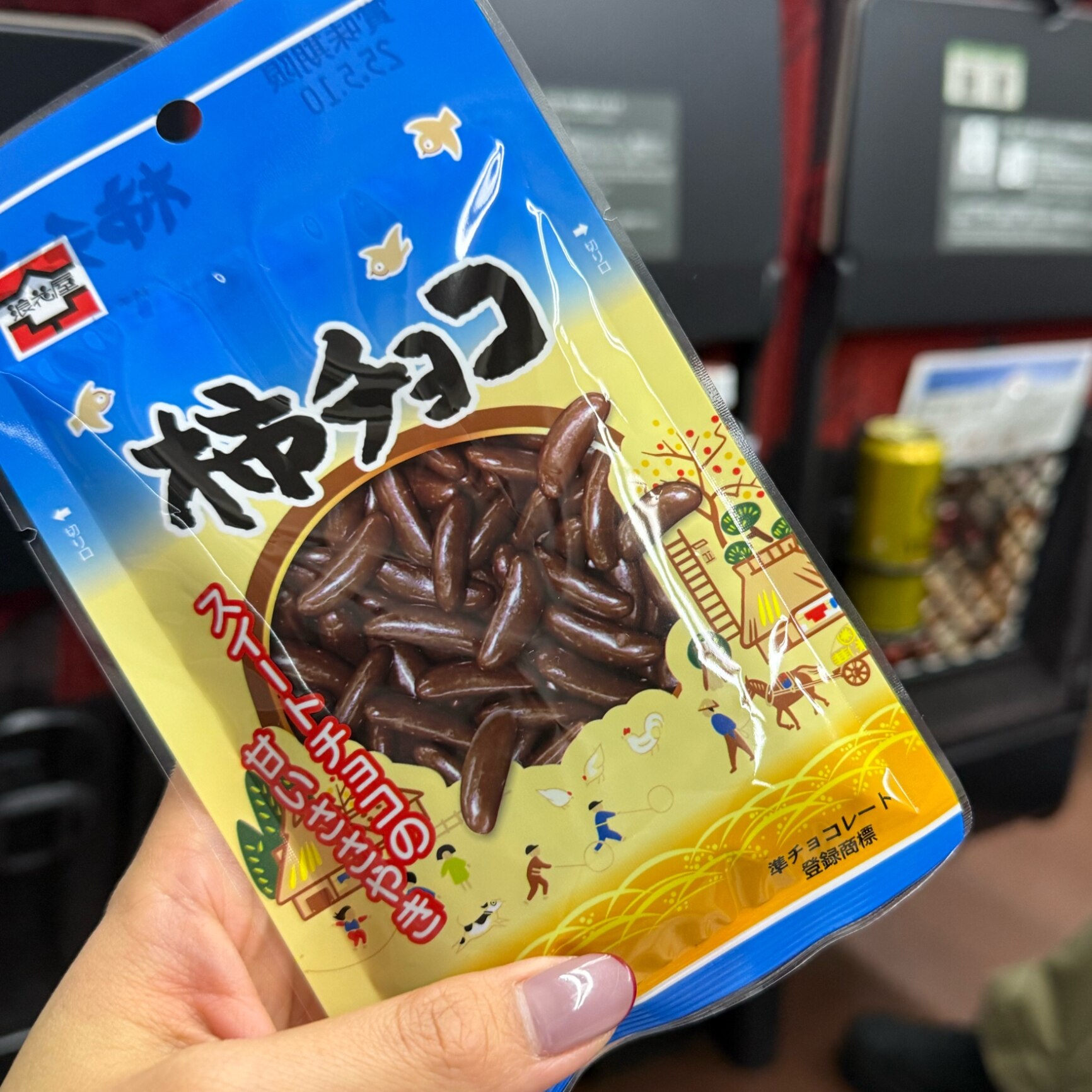 浪花屋製菓 柿チョコセット 60g (5g×12袋) 柿の種 チョコ 新潟 お土産 お取り寄せ
